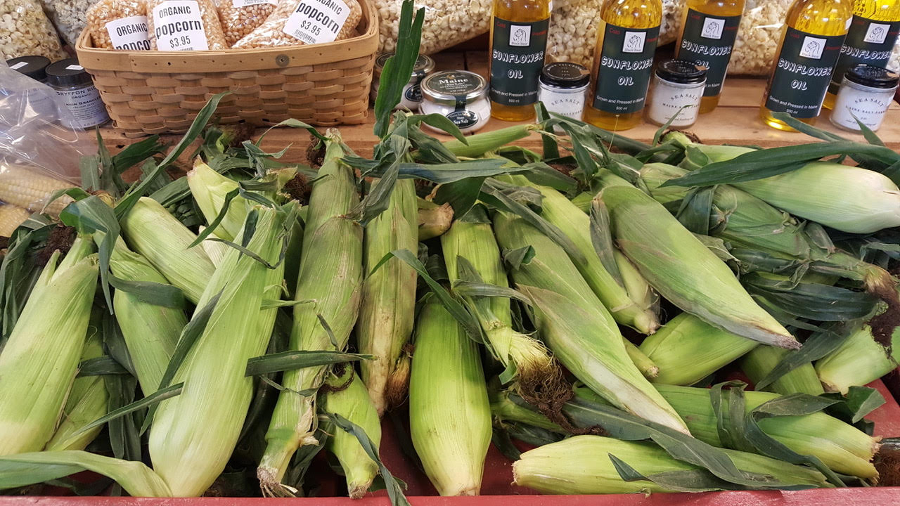 About - Cape Farm Alliance